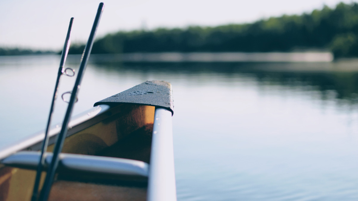 A Guide to Finding Fish in a Lake